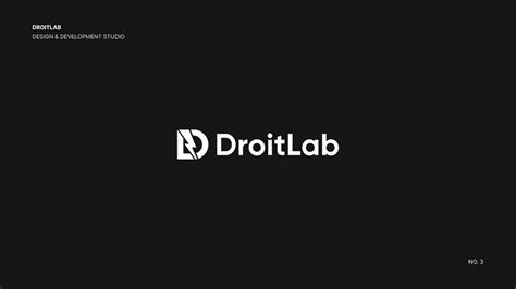 Best Of Logo Works 2022 By Md Shahadat Hussain For Droitlab On Dribbble