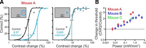Mouse Primary Visual Cortex Is Used To Detect Both Orientation And