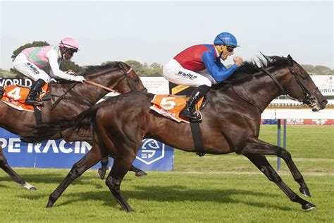 Sap Wins Gartners Magic Quadrant For Cloud Erp Ignitesap