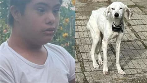 Майката на изчезналия Ники от Конаре изхвърли кучето