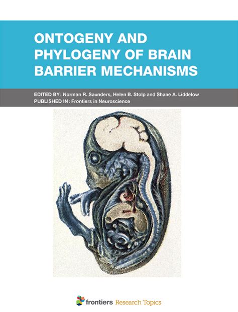 Frontiers In Neuroscience Journal Report