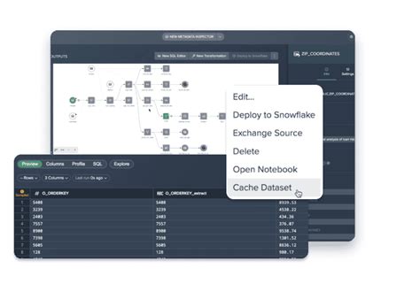 Dataset Caching Datameer