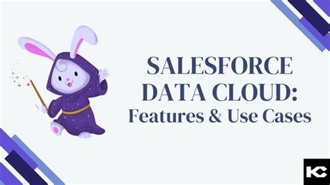 Salesforce Data Cloud Features And Use Cases [2024] Kizzy Consulting Top Salesforce Partner