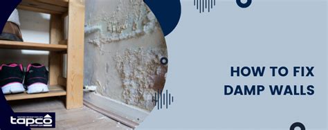How To Fix Damp Walls And Prevent Moisture From Returning