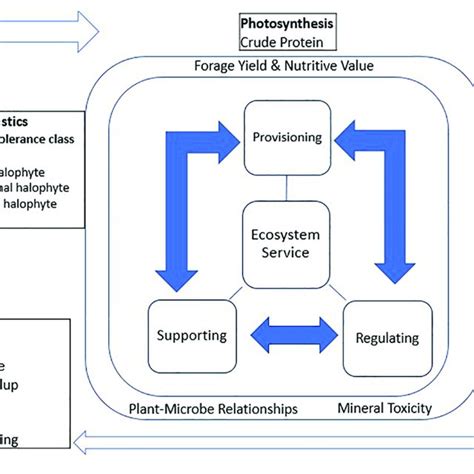 Flow Diagram Of Conceptual Framework For Evaluating Ecosystem