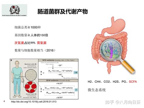 甲烷氢呼气试验在临床的应用价值 知乎