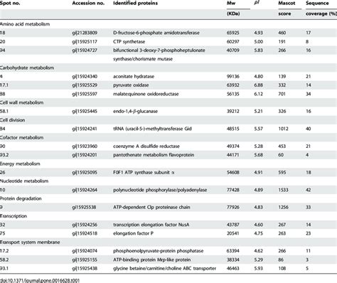 Identification Of Staphylococcus Aureus Cellular Proteins Presented Download Table