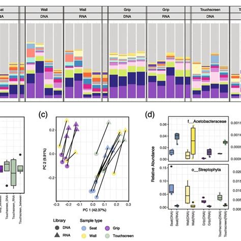 16s Rna Seq Indicated Subtle Differentiation Between Dna And Rna Download Scientific Diagram