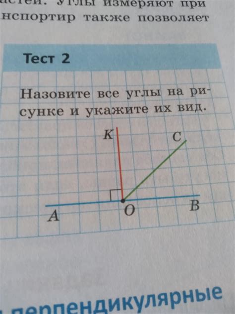 Назовите все углы на рисунке и укажите их вид Школьные Знания Com