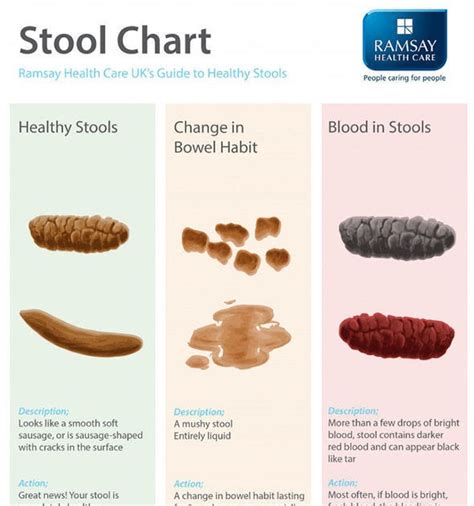 Can Hemorrhoids Affect Stool Shape Hemorrhoids And Bowel Health