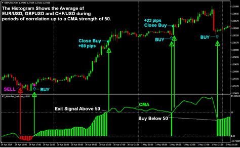 Roulette Trader A Powerful Forex Trading Money Management Strategy Multi Currency