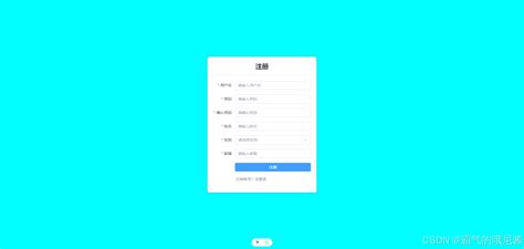 vue3 node js实现注册 使用vue和node实现登录注册 csdn博客