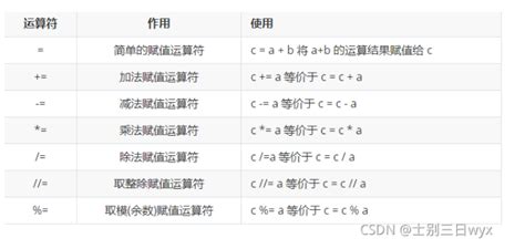 Python基础 while循环 赋值运算符 阿里云开发者社区