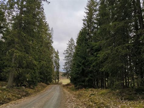 What Microclimate Sensor To Use The 3d Lab