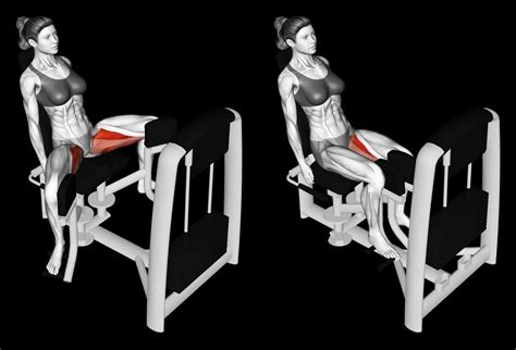 Machine Hip Adduction Guide Muscles Worked Tips Athlemove