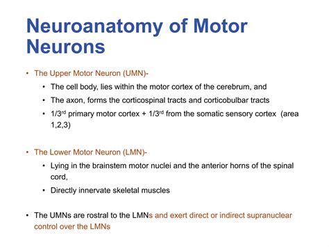Upper Motor Neuron Lower Motor Neuron And Brown Sequard Syndrome Pptx