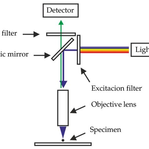 2 The Illustration Of Extracting 1d Signals From The 2d Image For One