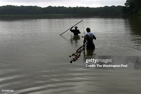 Smithsonian Environmental Research Center Photos And Premium High Res Pictures Getty Images
