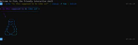Symbols Showing On Blue Background In Debian With Oh My Fish On WSL Unix Linux Stack Exchange