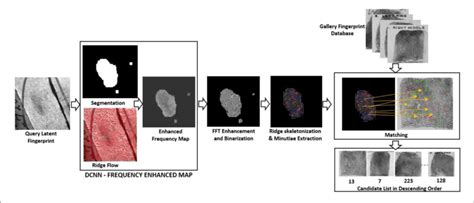 Proposed End To End Automated Latent Fingerprint Identification