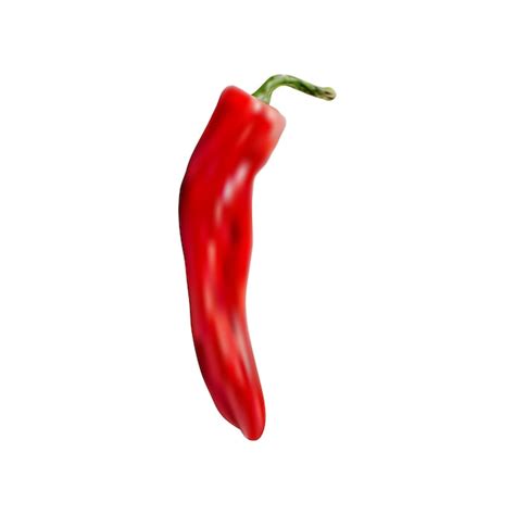 흰색 배경에서 벡터 레드 핫 칠리 프리미엄 벡터