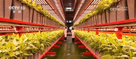 顶层设计 涉及13个方面 这份文件对培育壮大数据标注产业进行全面谋划 新闻频道 中国青年网