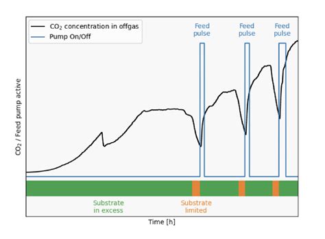 Advanced Bioprocess Monitoring And Control Via The Lucullus® Rest Api