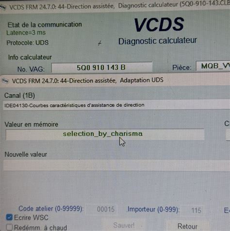 Octavia 3 5e Modifier La Dureté De La Direction Assistée Vag Coding