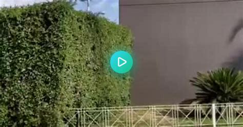 Mural Album On Imgur Mural Album On Imgur