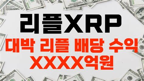 리플 Xrp 대박 리플 배당 수익 Xxxx억원 Youtube