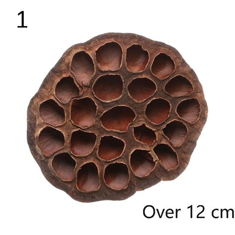 DIY Эмуляция Украшения для дома Офис Сушеный лотос Коричневый лотос ...