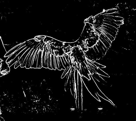 C How To Gradient Based Edge Detection Software By Default