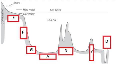Ocean Floor Diagram Quizlet