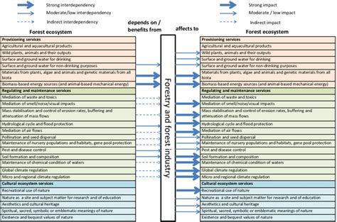 11 Example Of A Systematic Assessment And Illustration Of Download Scientific Diagram