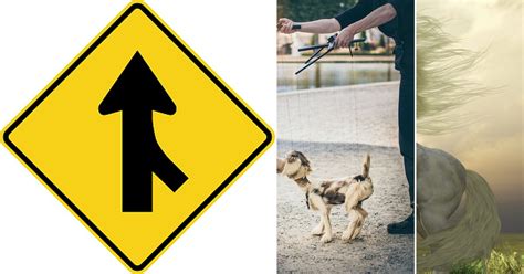 List Data Science Curated By Elijah Salami Medium