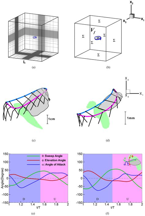 a typical non uniform cartesian mesh employed in the simulations b