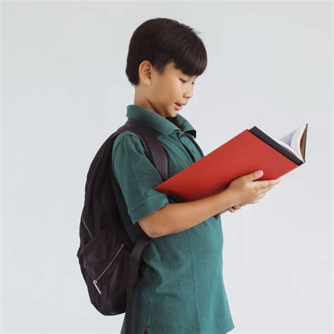 7th Grade Reading Books Explore Captivating Stories