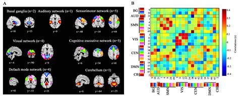 Abnormal Network Interconnections Dynamics Correlate With Levodopa Induced Dyskinesia In