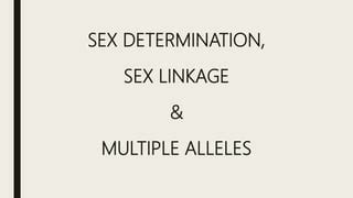 Sex Determination Sex Linkage And Multiple Allels PPTX