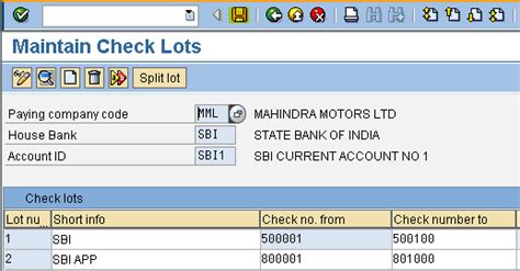 SAP FICO MODULE LEARNING Creation Of Sequential Check Lots