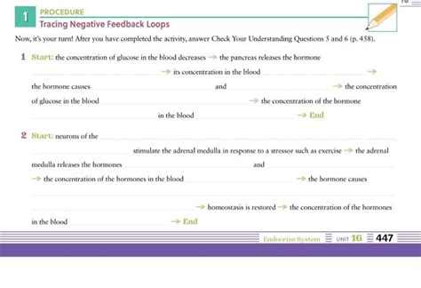 Solved 1 PROCEDURE Tracing Negative Feedback Loops Now It S Chegg