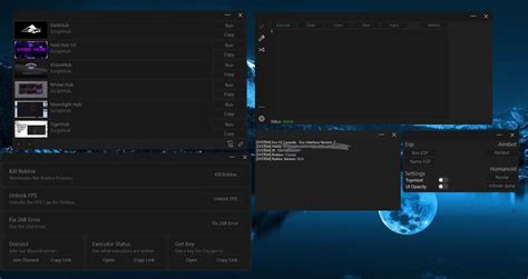 Rate The Ui Winforms Rrobloxhackers