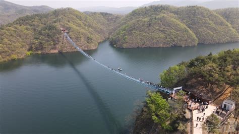진천군 초평호 미르309 출렁다리 공식 명칭 확정