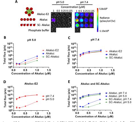 Figure 4 From Macromolecular Assembly Of Bioluminescent Protein Nanoparticles For Enhanced