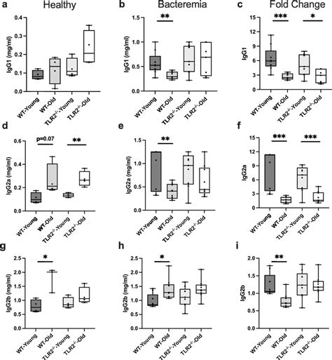 The Impact Of Aging And TLR2 On IgG Subclasses In Healthy And S Aureus