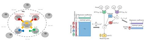 Spacia Inferring Cell Cell Interaction From Spatial Transcriptomics Data — Spacia Documentation