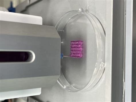 New 3d Bioprinting Technology Could Help Target Cancer Cells