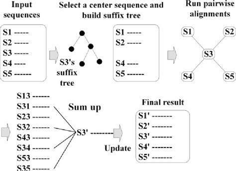 Figure 3 From Multiple Sequence Alignment Based On A Suffix Tree And
