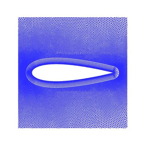 Vortex Grid Solid Blue Lines And Boundary Of A Hole Definition Grid