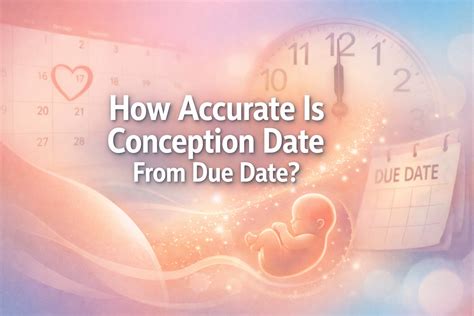 Conception Date Accuracy From Due Date 2026 Expert Guide